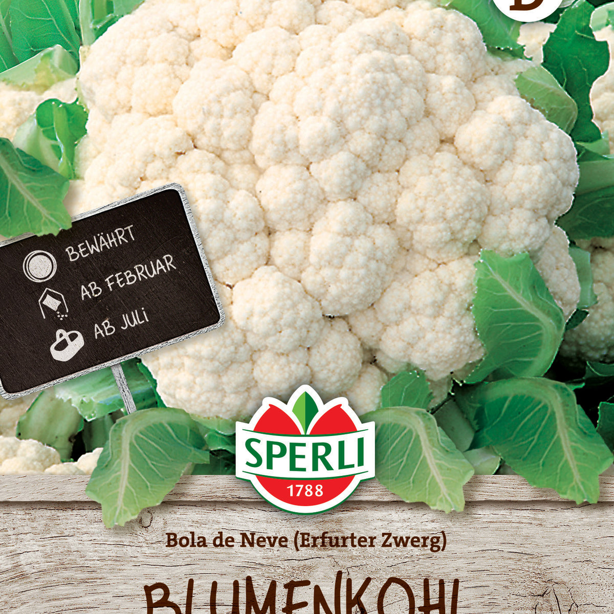 Seminte conopida Bola de Neve – soi compact ideal pentru gradini mici ...