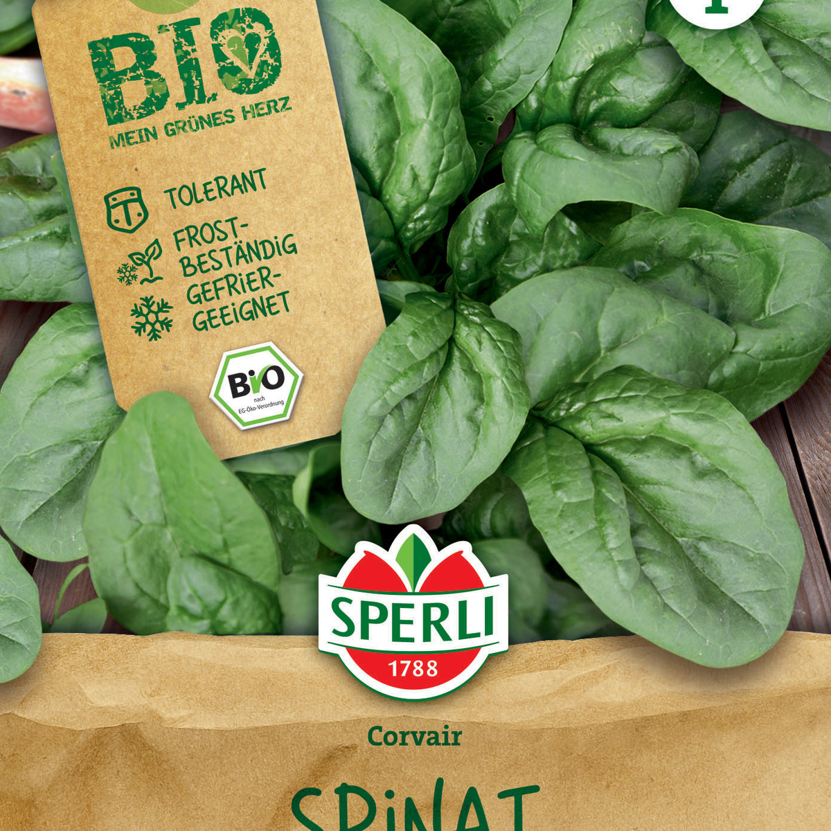 Seminte BIO spanac F1 – productie rapida si frunze fragede – VERDENA
