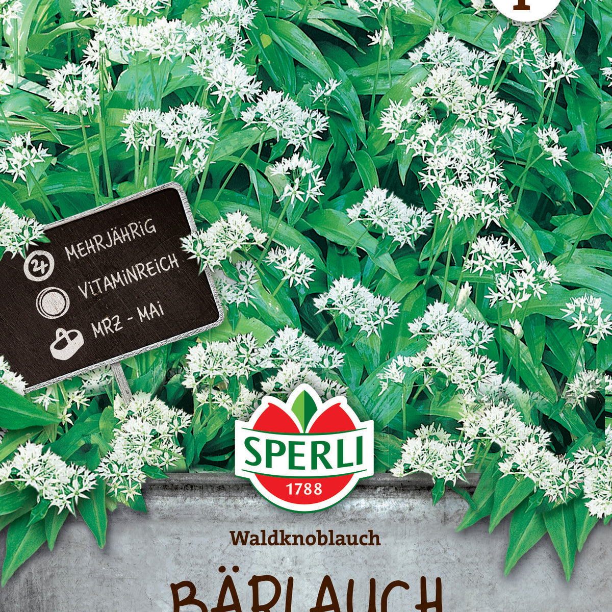 Seminte leurda – aroma de usturoi, ideala pentru preparate de primavar ...