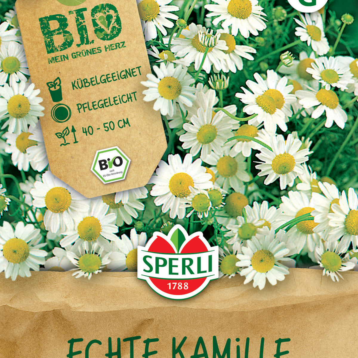 Seminte BIO musetel – planta medicinala cu flori parfumate – VERDENA