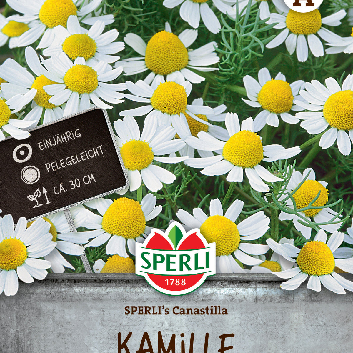 Seminte musetel SPERLI Canastilla – flori mari si decorative – VERDENA