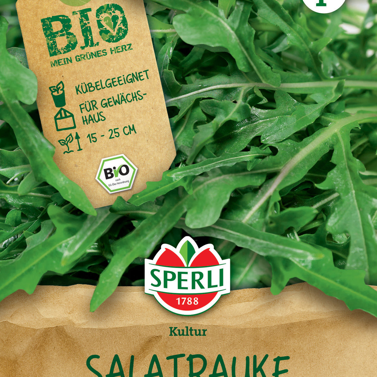 Seminte BIO rucola – gust intens si cultura ecologica – VERDENA