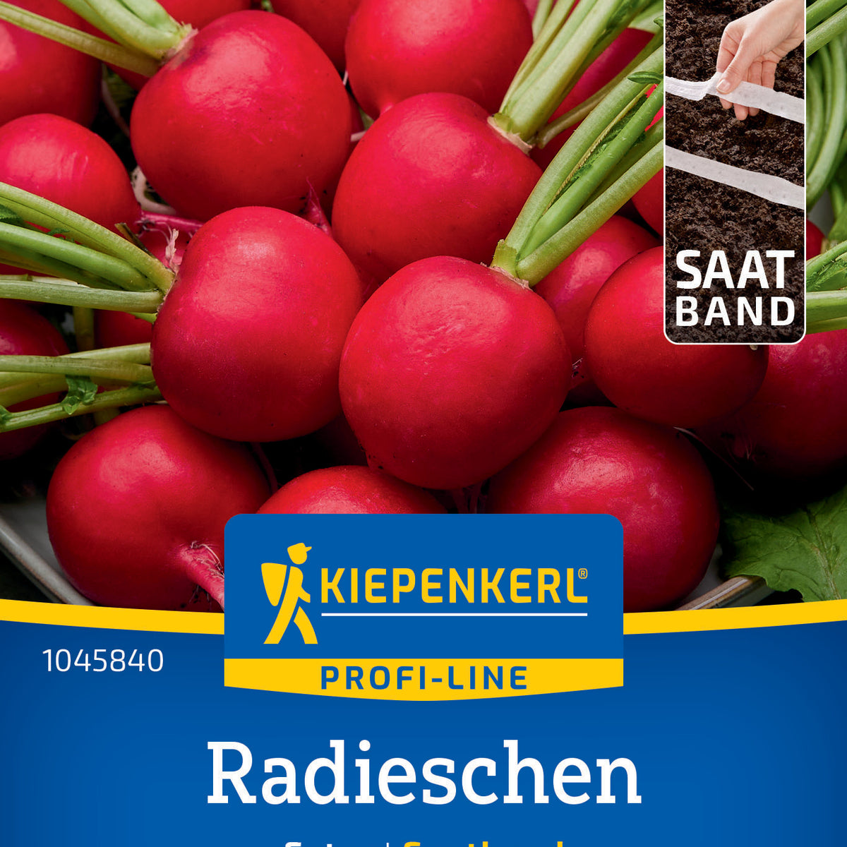 Seminte ridichi Ester F1 | Verdena – VERDENA