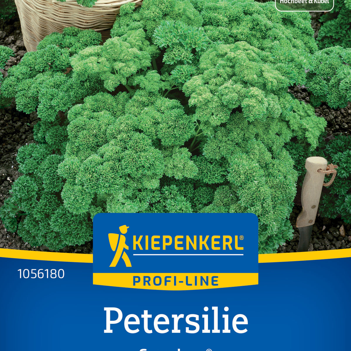 Seminte patrunjel Grandeur – soi profesional, frunze dese, cu protecti ...