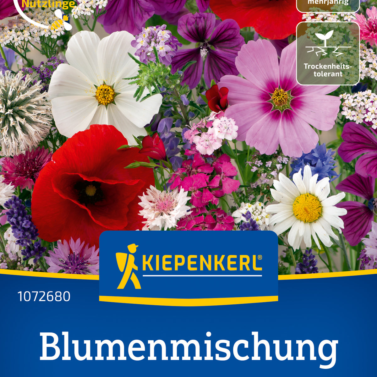 Seminte pajiste fluturi | Verdena – VERDENA