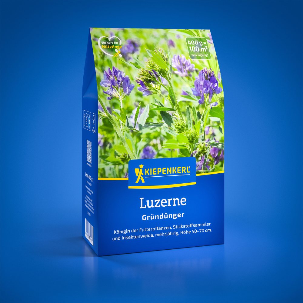 Seminte de lucerna – 0,4 kg, furaj si regenerare sol, ajunge pentru 10 ...
