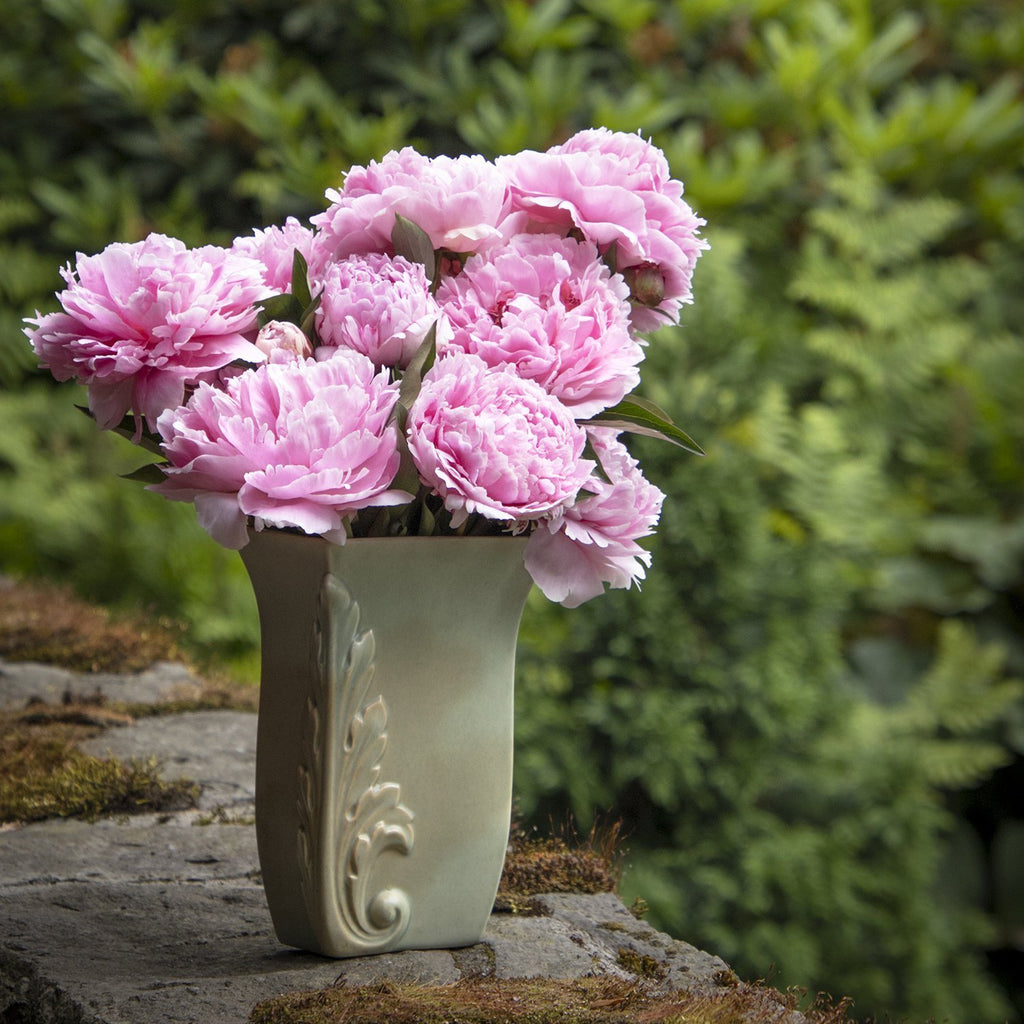 Bujor arbustiv roz Sarah Bernhardt | Verdena